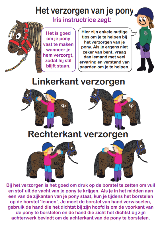 Crafty Ponies Poets-set Verzorgingsset blauw - Crafty Ponies - Love ...